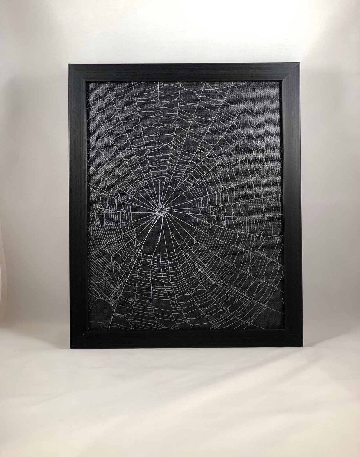 Genuine Preserved Spider Web Framed Spider Web Real Spider Web Orb ...