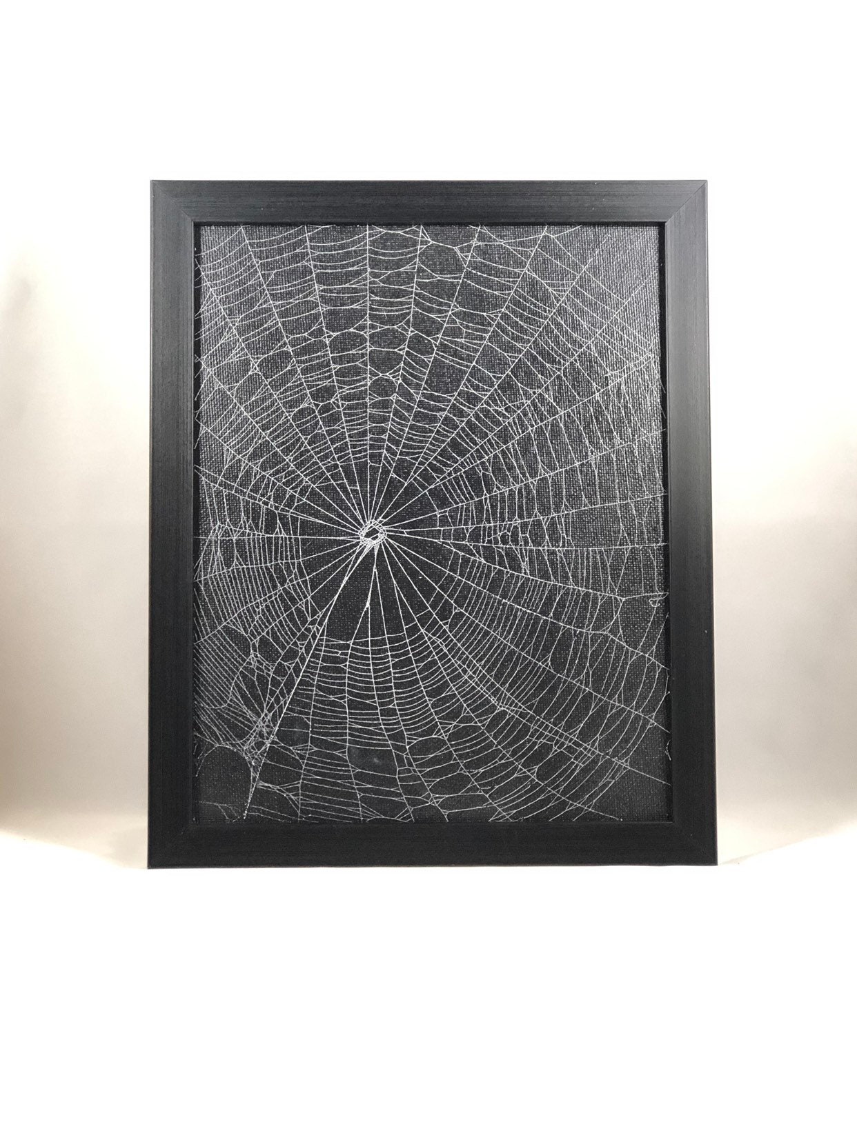 Genuine Preserved Spider Web Framed Spider Web Real Spider Web Orb ...