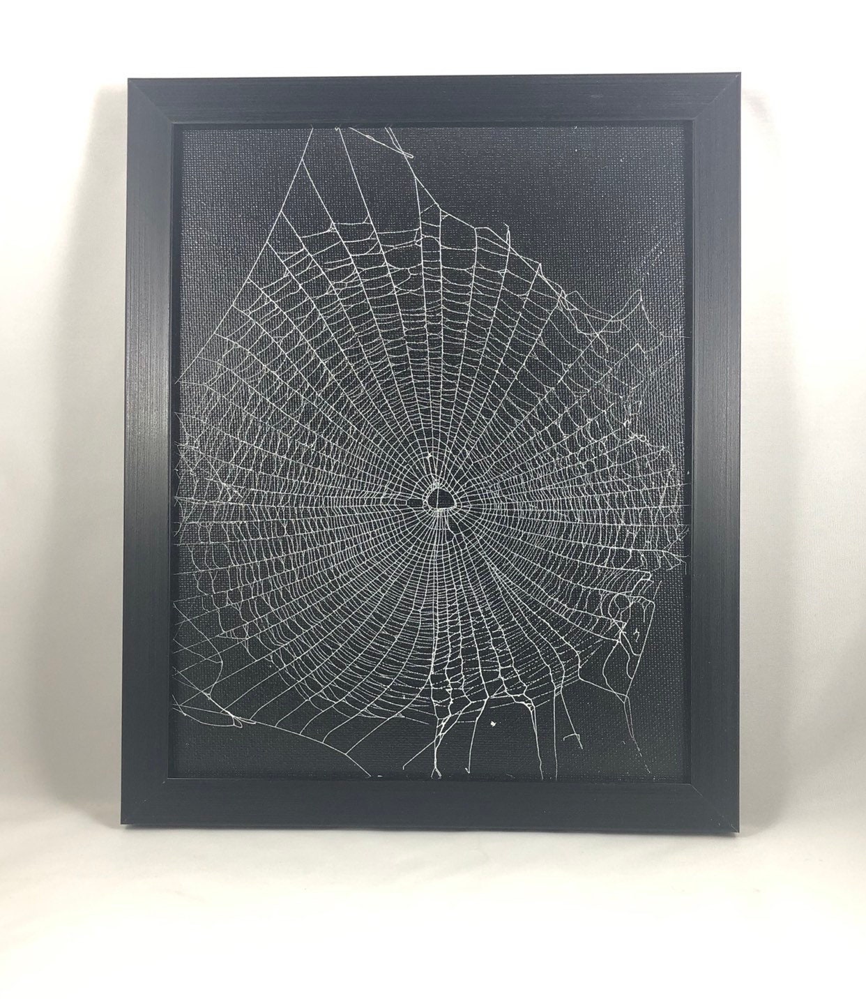 Genuine Preserved Spider Web, Framed Spider Web, Real Spider Web Home ...