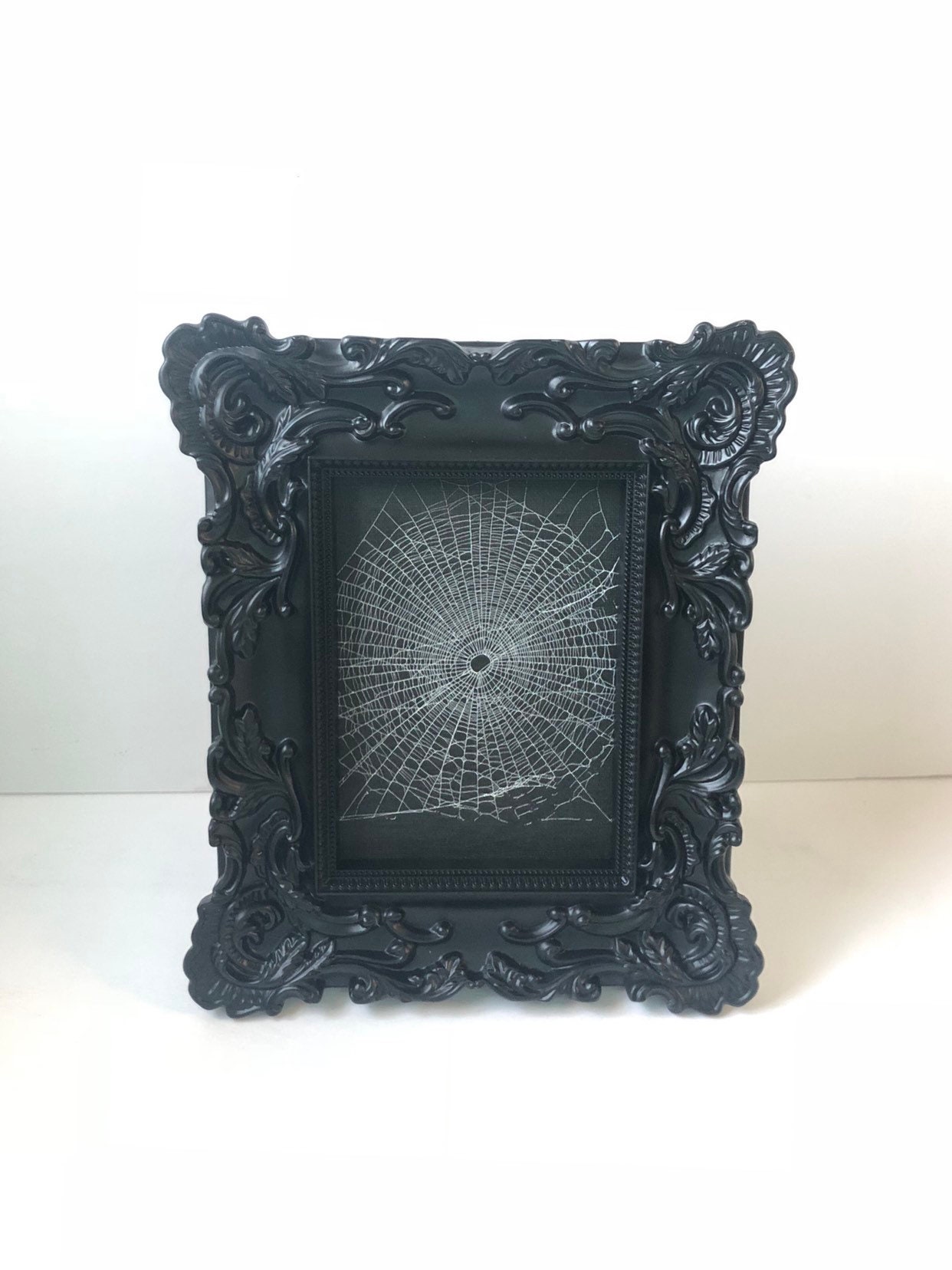 Genuine Preserved Spider Web, Framed Spider Web, Real Spider Web ...