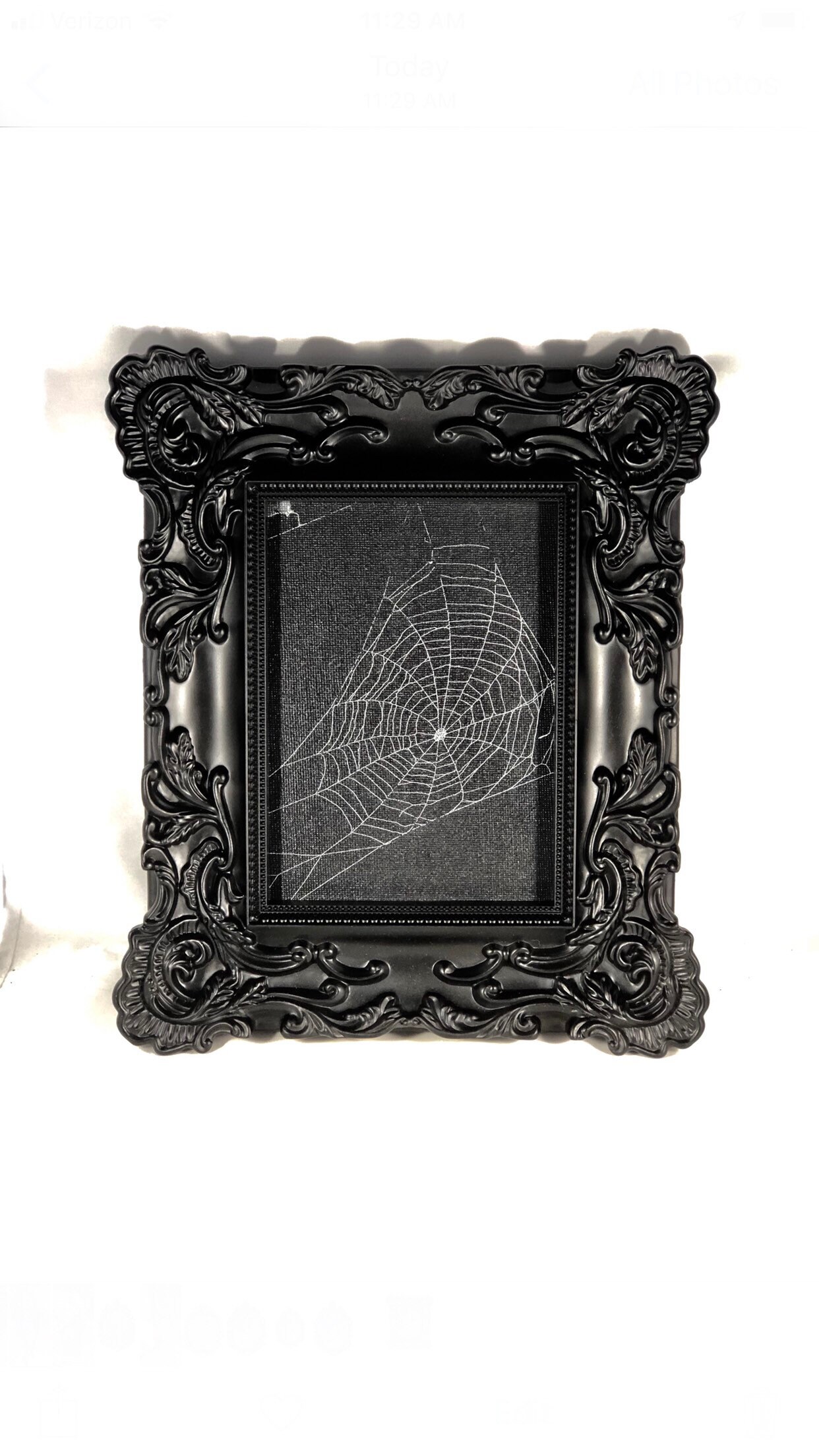 Genuine Preserved Spider Web, Framed Spider Web, Real Spider Web ...
