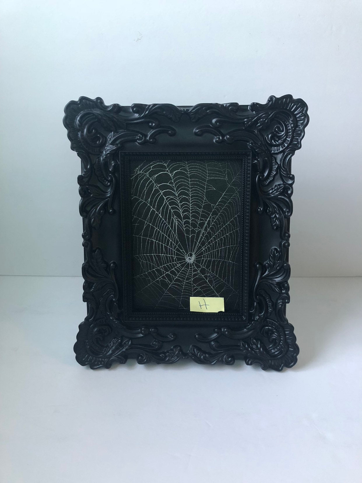 Genuine Preserved Spider Web Framed Spider Web Real Spider Web
