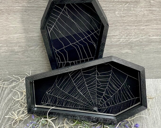 Coffin Box, Trinket Box, Real Spider Web, Preserved Spider Web, Coffin ...