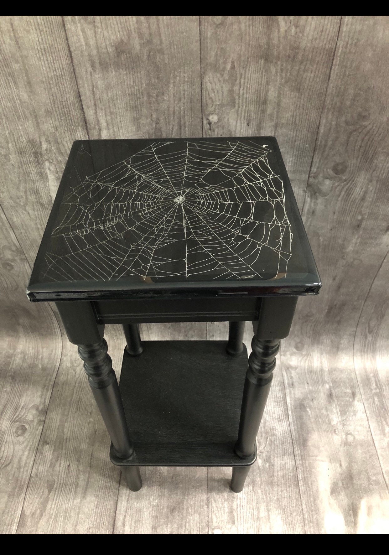 Dark Decor, Spider Web Table, Real Preserved Spider Web, Gothic ...