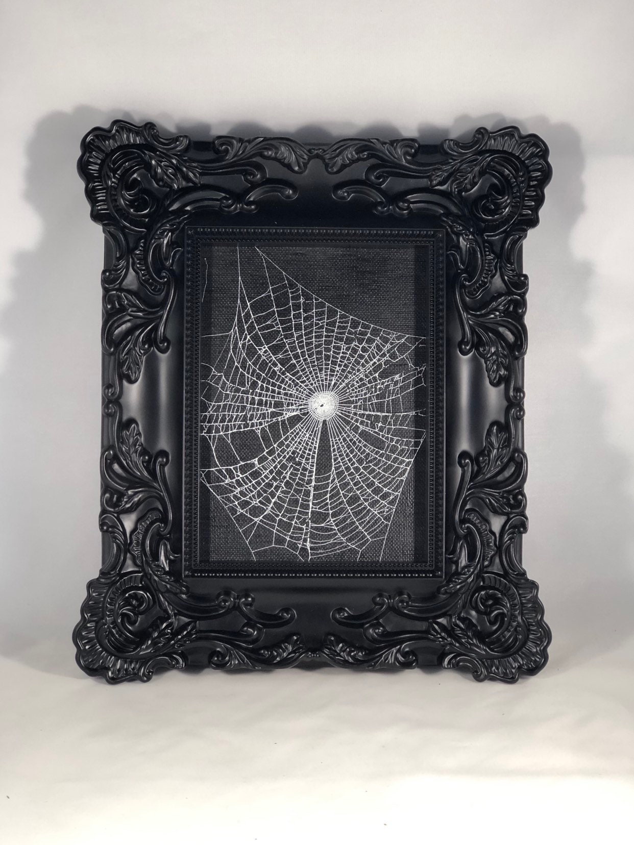 Genuine Preserved Spider Web Framed Spider Web Real Spider Web