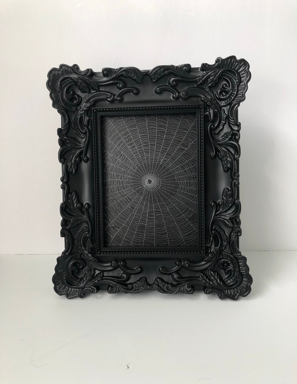 Genuine Preserved Spider Web Framed Spider Web Real Spider Web