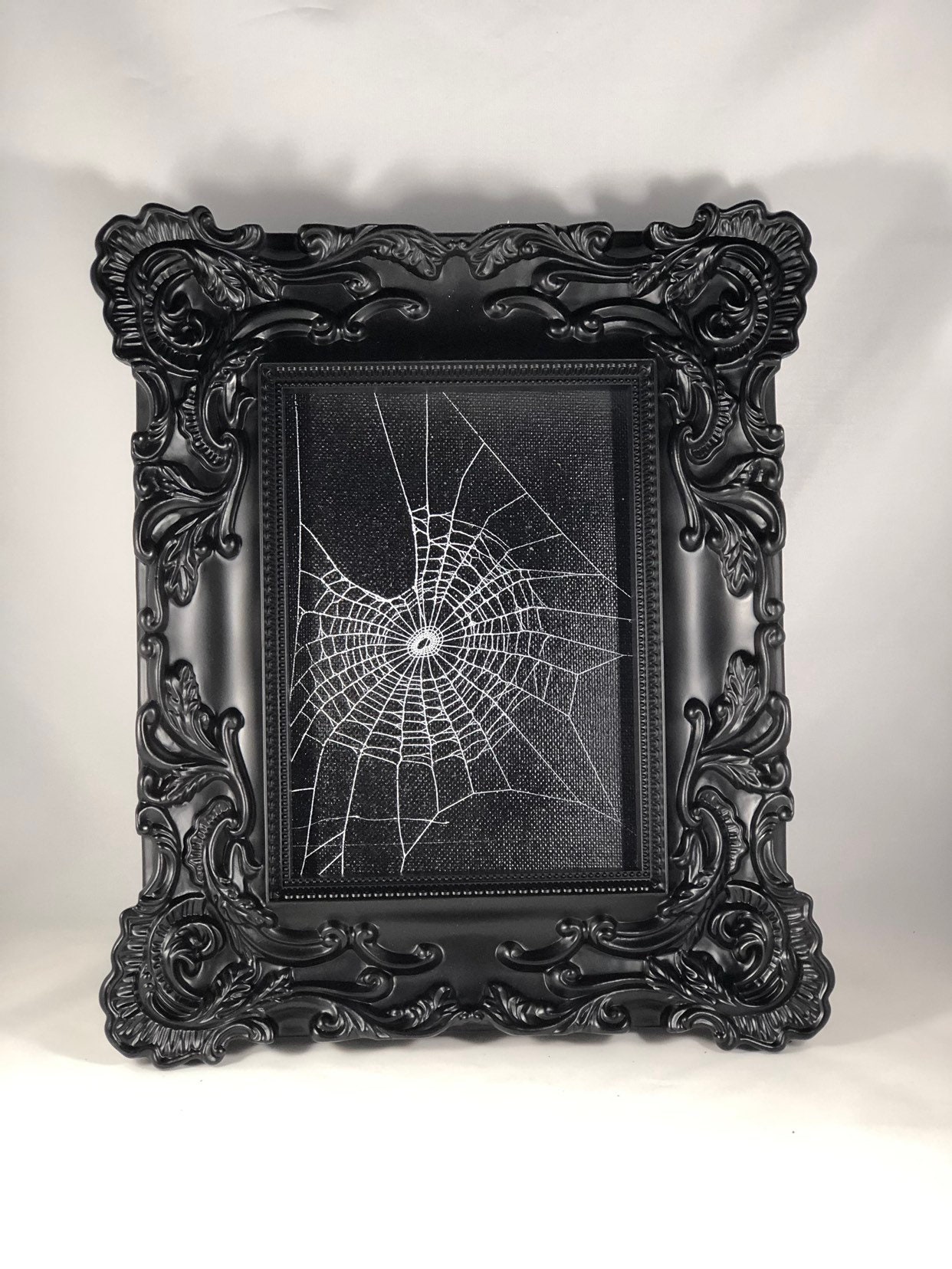 Genuine Preserved Spider Web Framed Spider Web Real Spider Web
