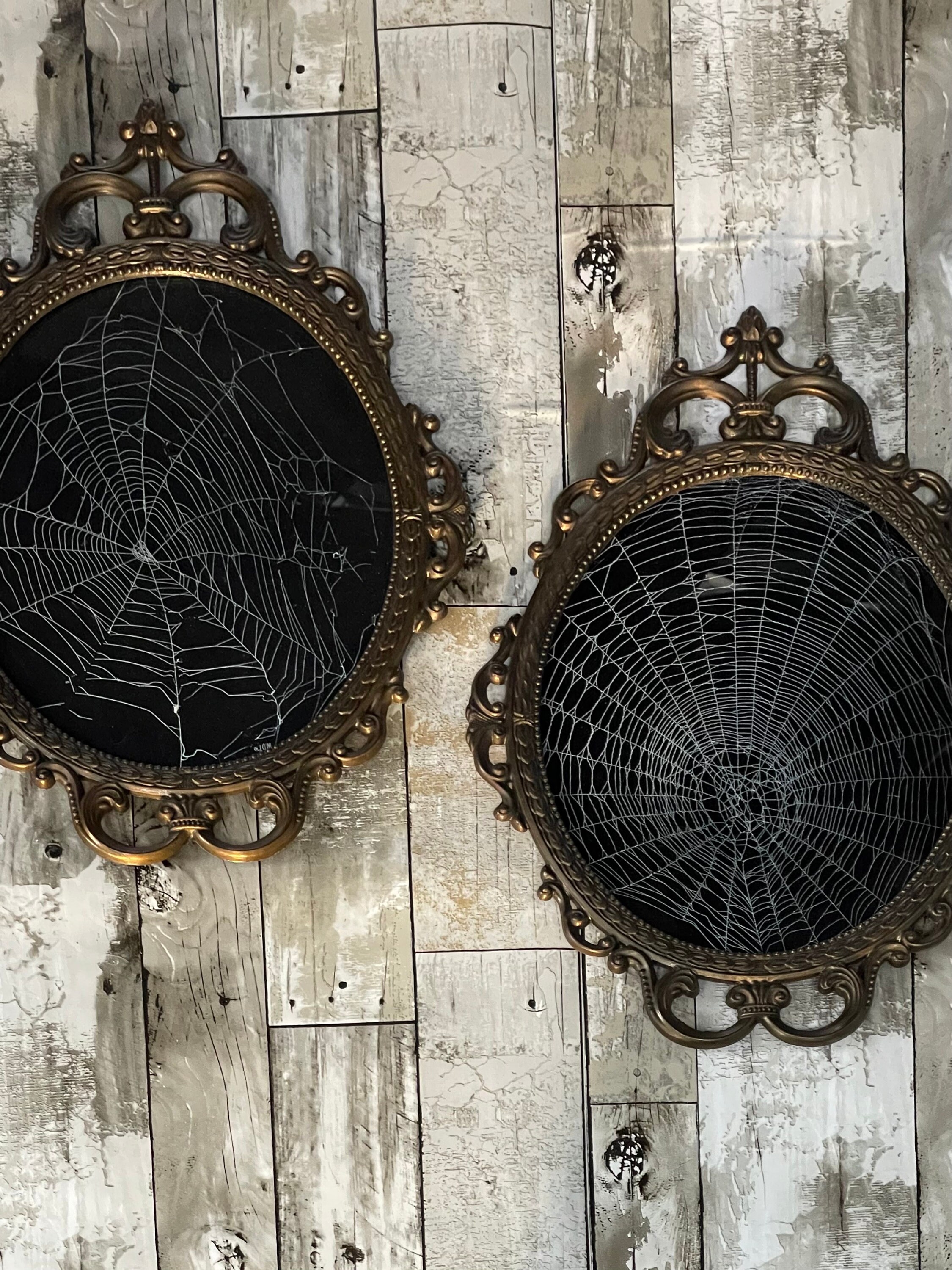 Preserved Spider Web, CobWeb, Wall Art, Spider Art, Vintage Frame ...