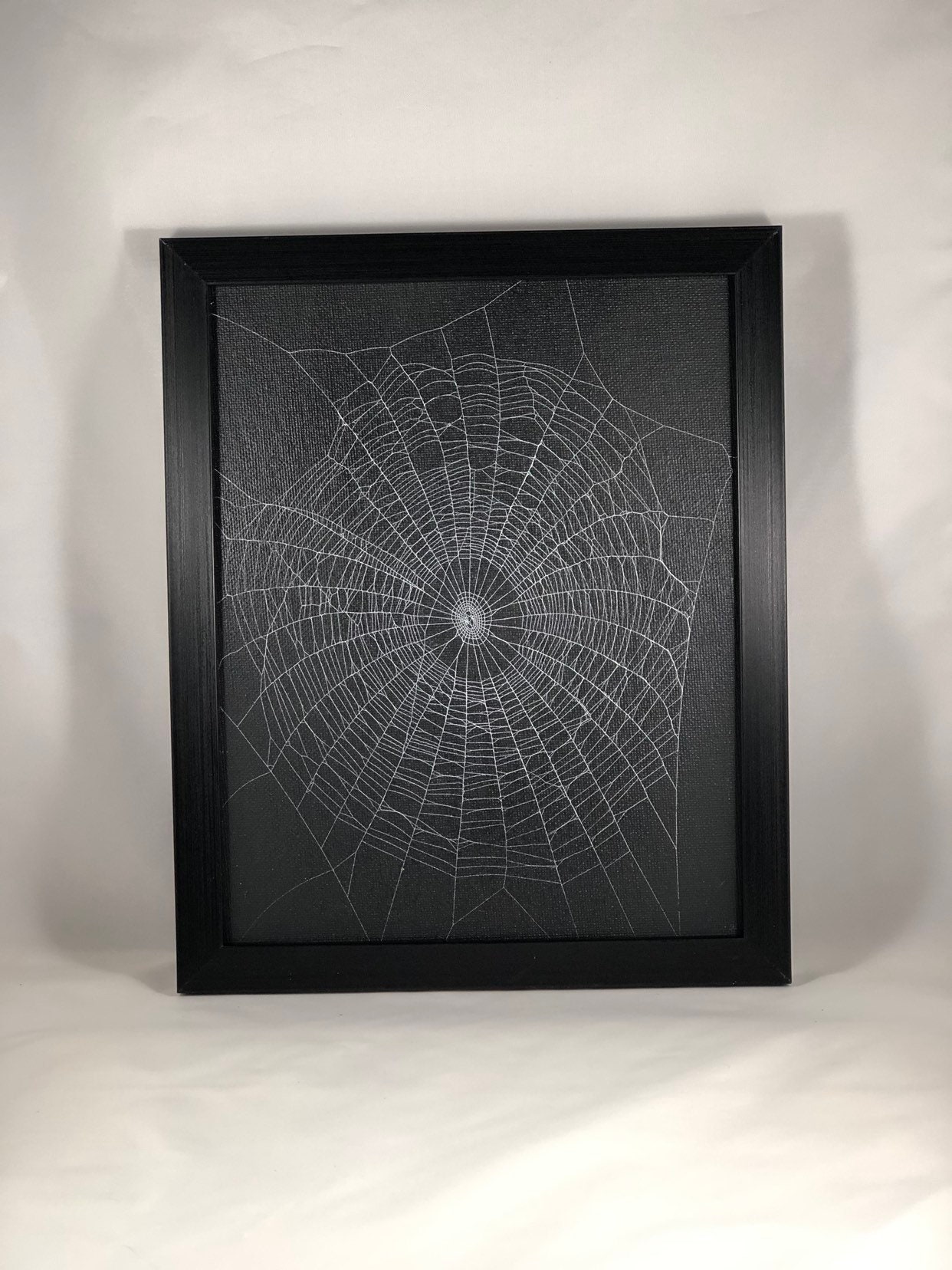 Genuine Preserved Spider Web Framed Spider Web Real Spider Web Orb ...