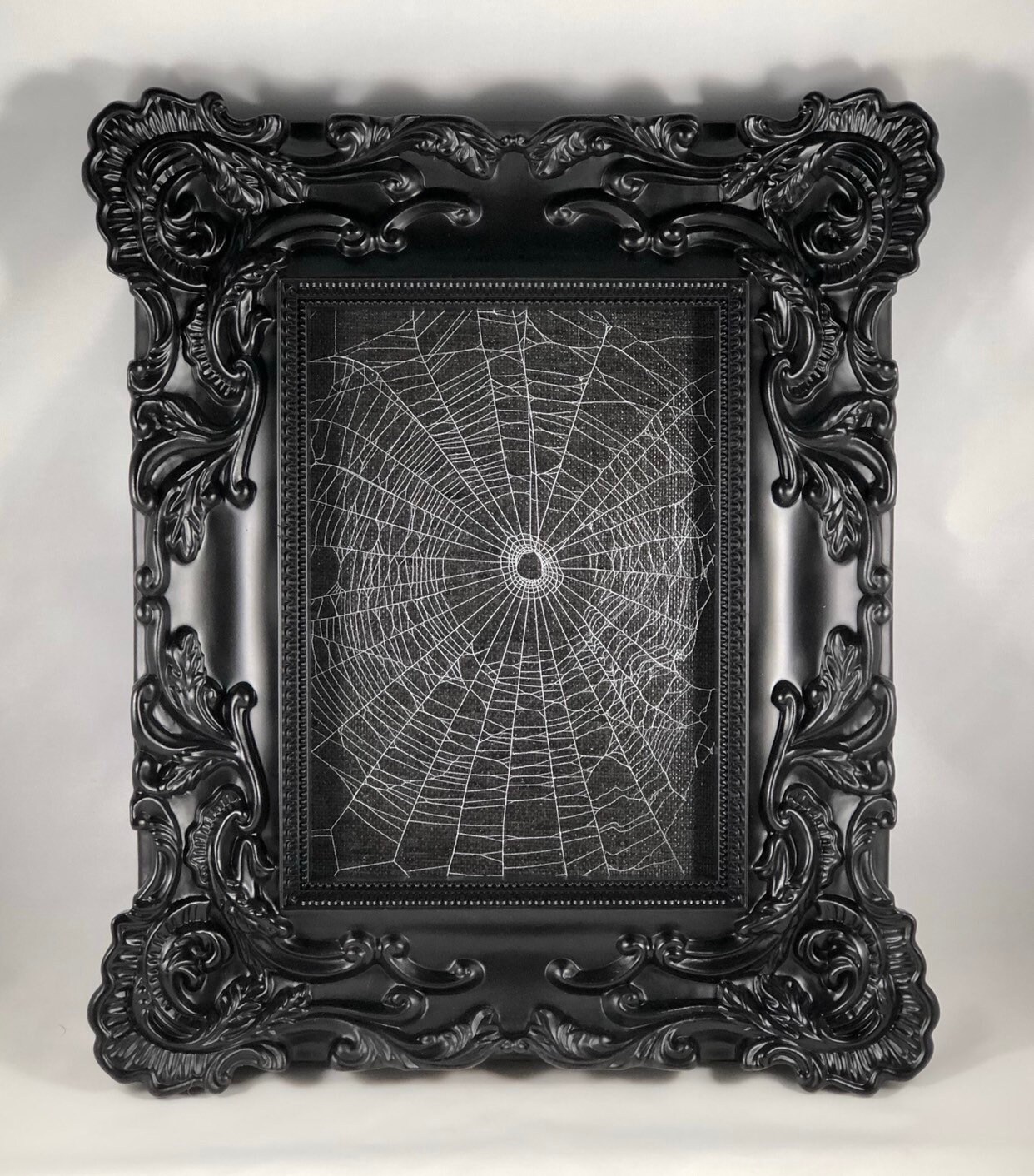 Genuine Preserved Spider Web Framed Spider Web Real Spider Web