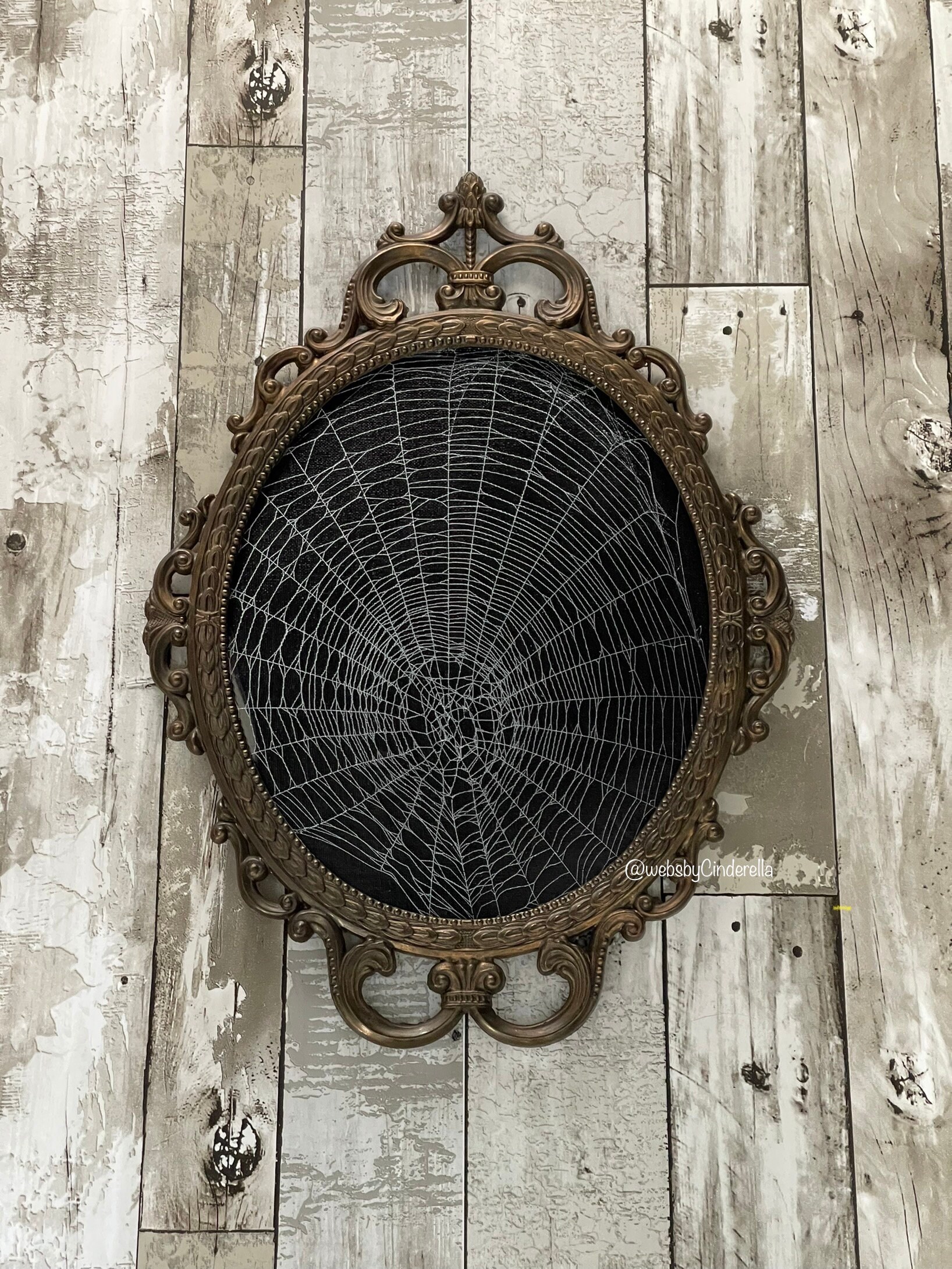 Preserved Spider Web, CobWeb, Wall Art, Spider Art, Vintage Frame ...