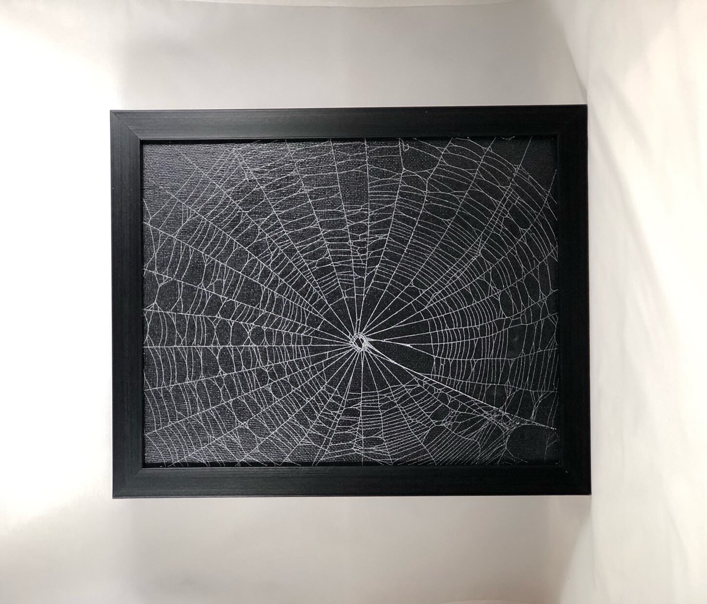 Genuine Preserved Spider Web Framed Spider Web Real Spider Web Orb ...