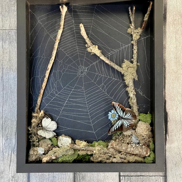 Spider Web Decor - Etsy