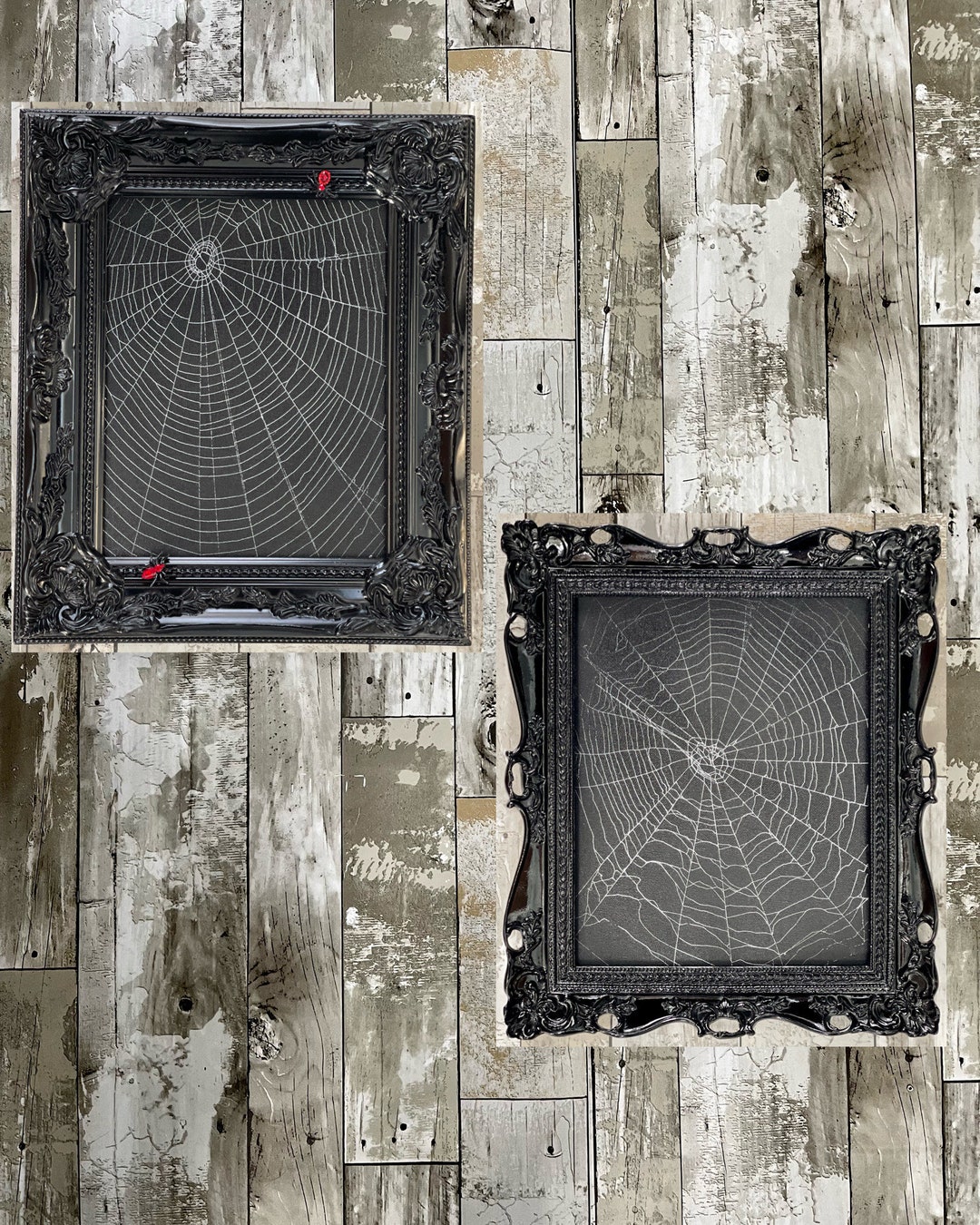 Real Spider Web, Preserved Nature,wall Art, Spider Taxidermy, Halloween ...