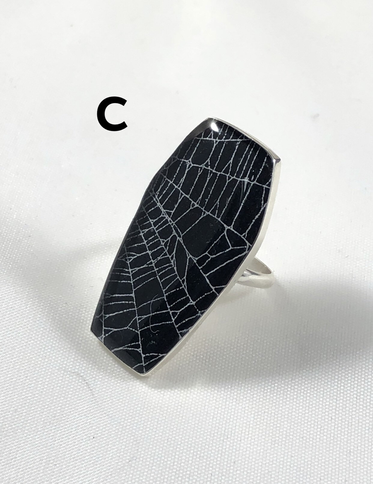 Coffin Ring, Spider Web Ring, Real Spider Web, Spider Web Jewelry ...