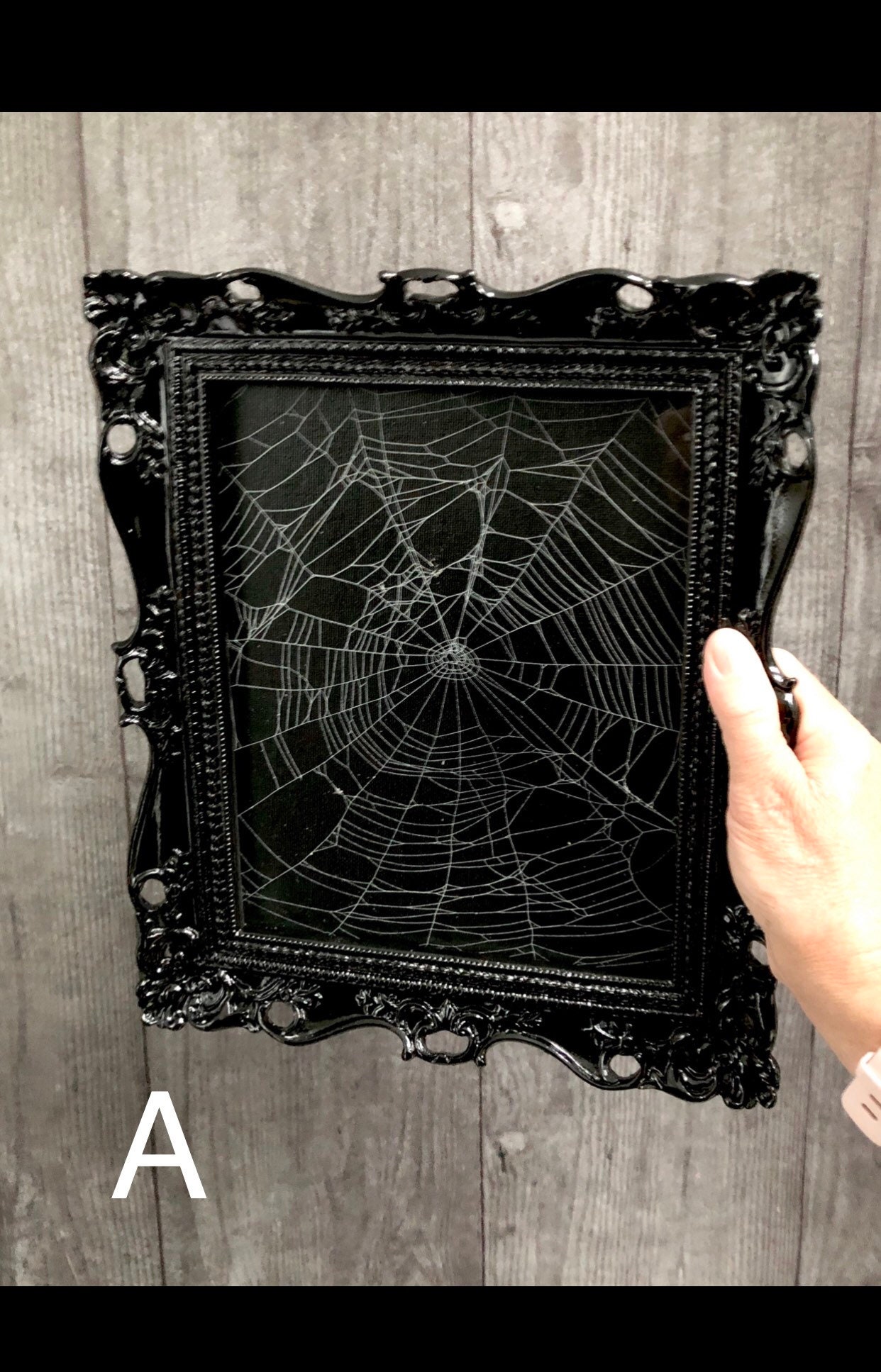 Real Spider Web, Preserved Spider Web, Framed Spider Web, Spider Web ...
