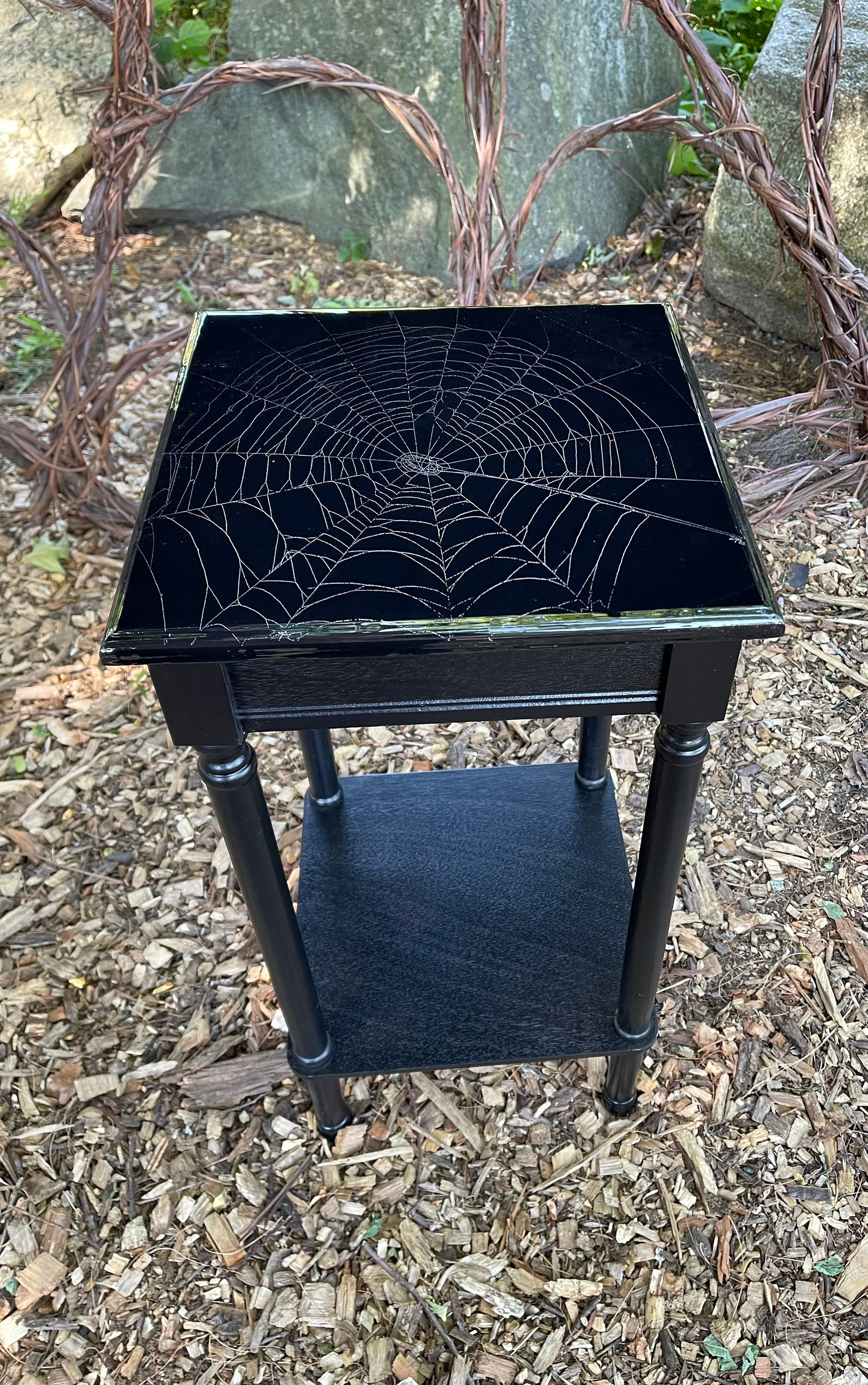 Dark Decor, Spider Web Table, Real Preserved Spider Web, Gothic ...
