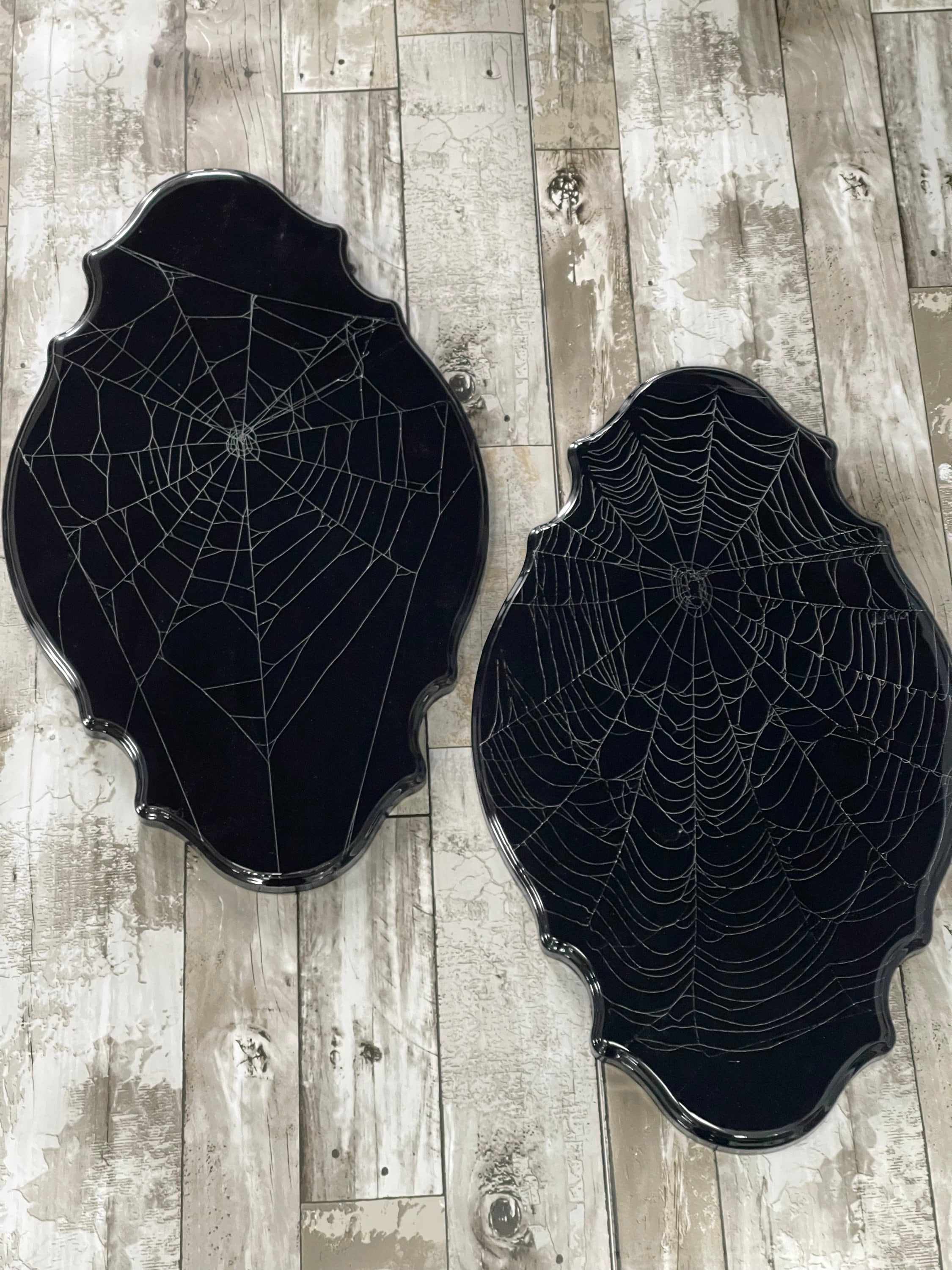Real Preserved Spider Web, CobWeb, Arachnid, Wall Art, Nature Decor