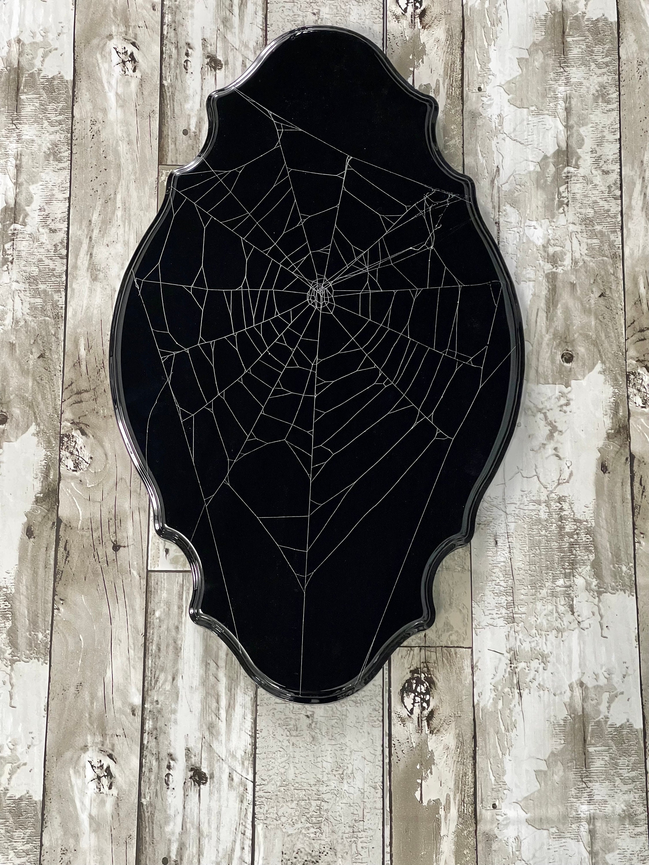 Real Preserved Spider Web, CobWeb, Arachnid, Wall Art, Nature Decor