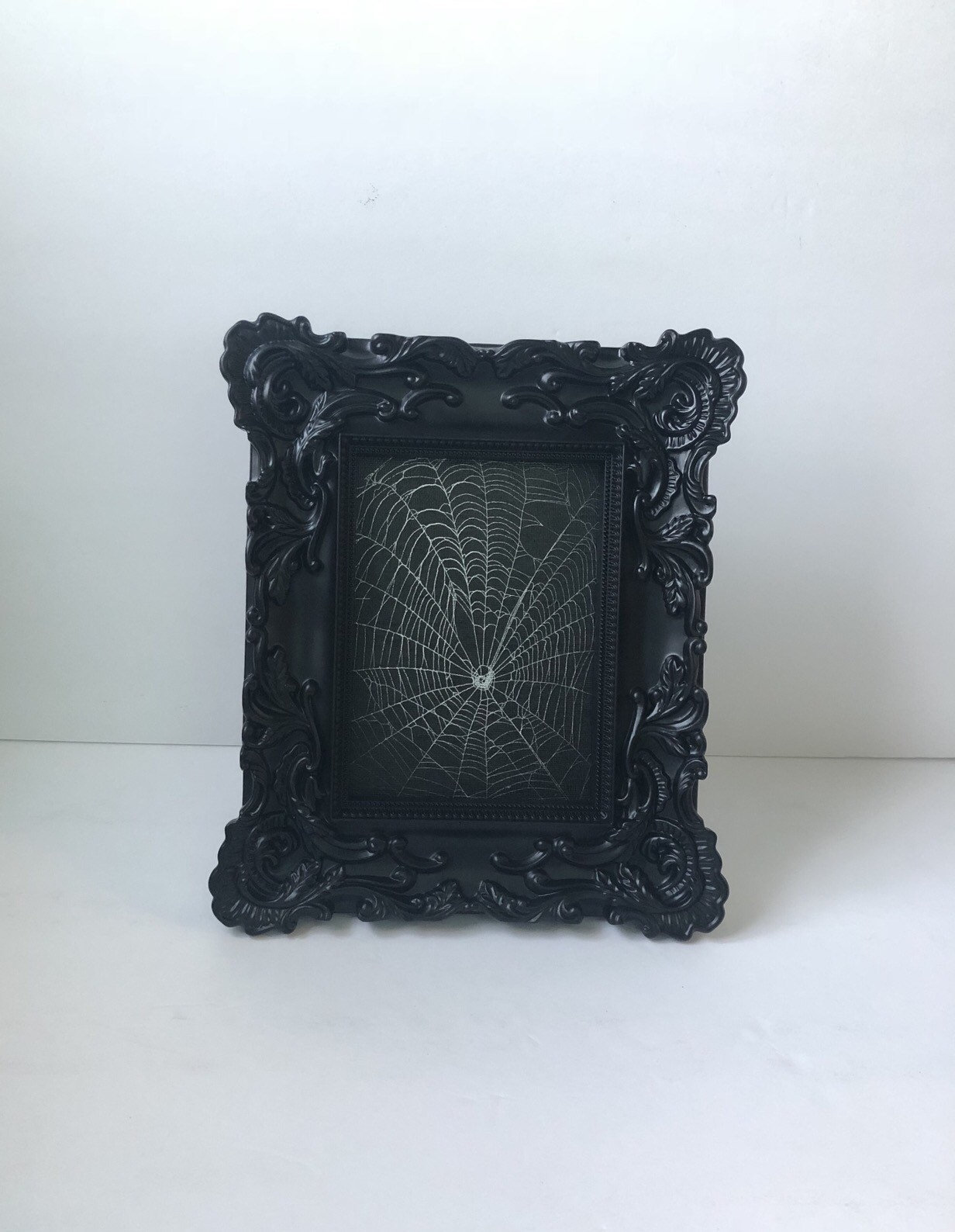 Genuine Preserved Spider Web Framed Spider Web Real Spider Web