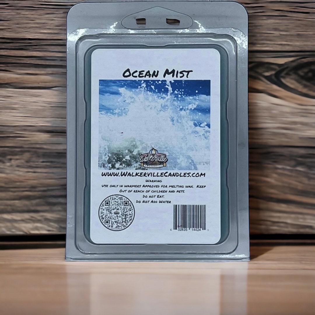 Ocean Mist Wax Melt - Etsy