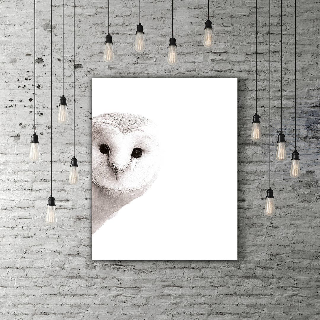 Cute Owl Decor, Nursery Woodland Art, Bird Print, Animal Wall Decor ...