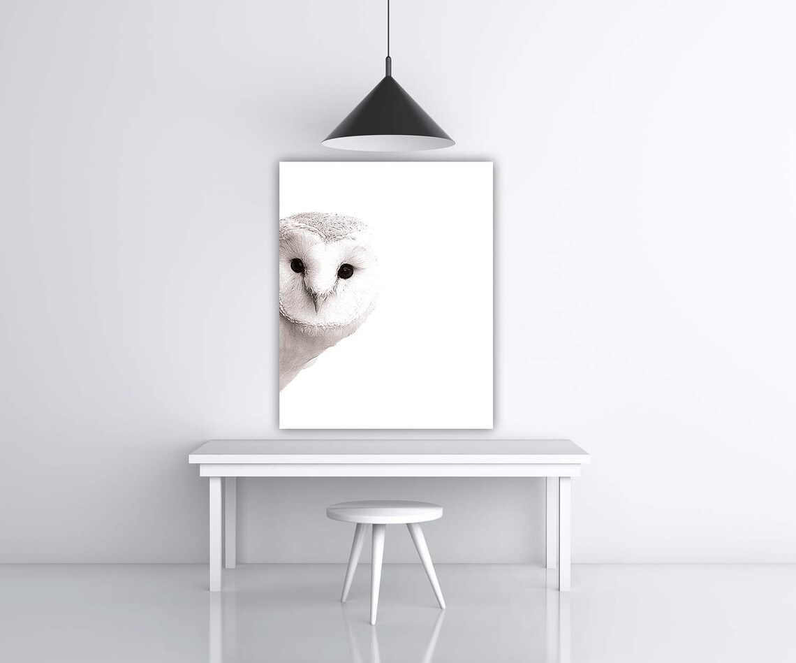 Cute Owl Decor Nursery Woodland Art Bird Print Animal Wall - Etsy