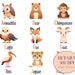 Cute Animal Alphabet Poster for Classroom Wall, Printable ABC Wall Art ...