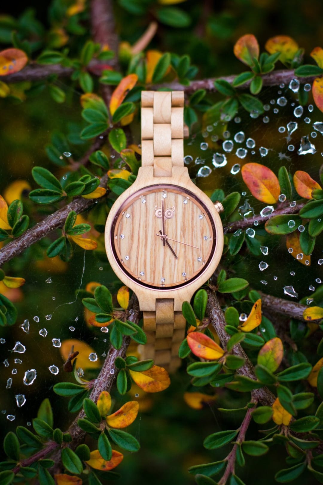 Free Custom Engraving Elegant Handmade Women Wood Watch With Czech ...