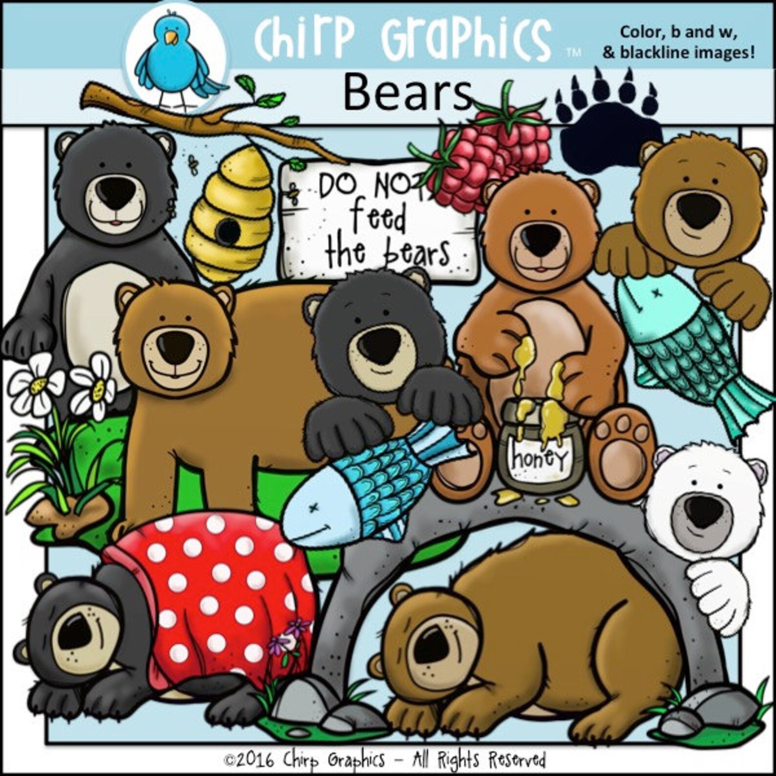 Bear Clip Art Set - Chirp Graphics - Etsy
