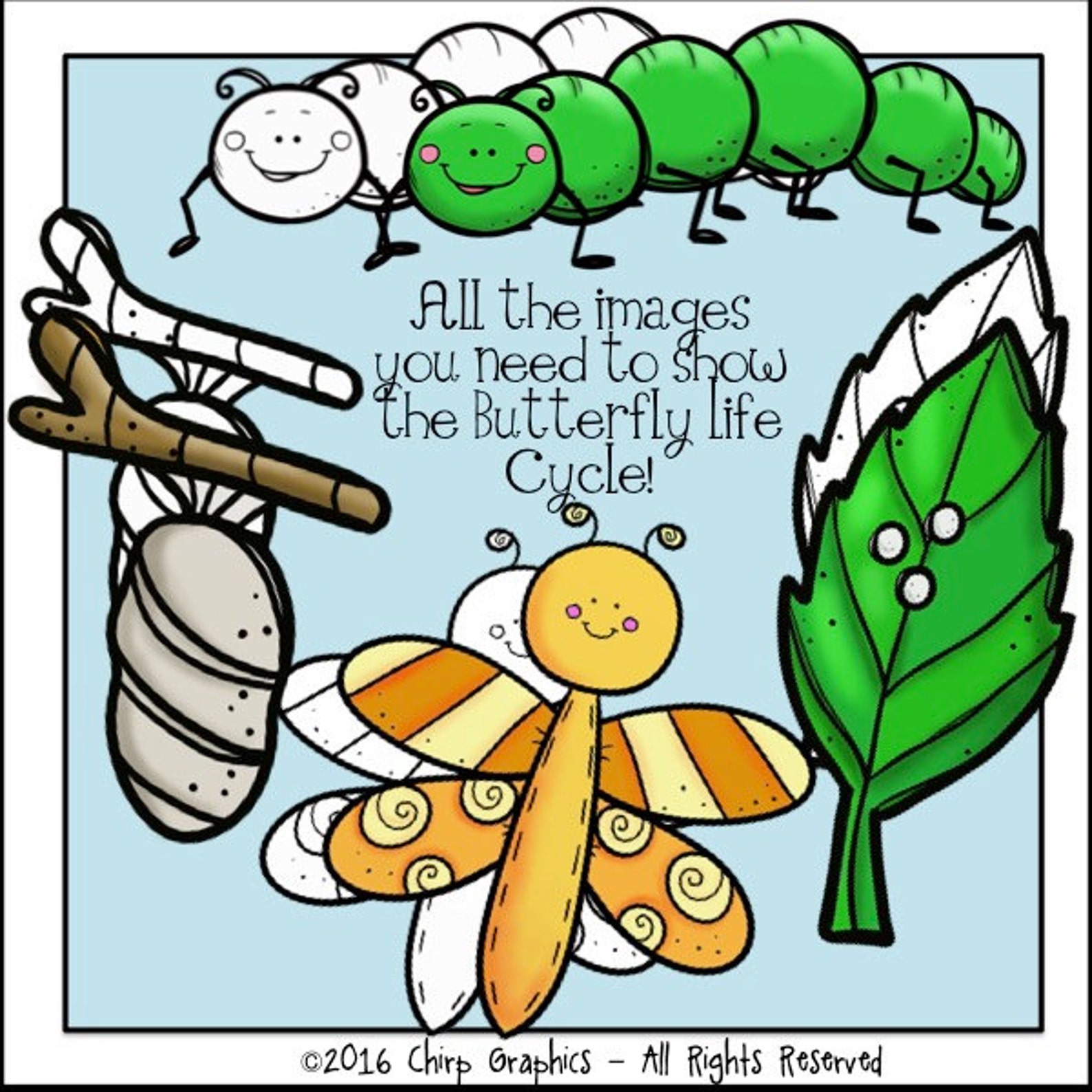 Butterfly and Caterpillar Clip Art Set - Chirp Graphics - Etsy