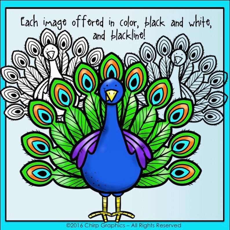 Zoo Animals Clip Art Set Chirp Graphics | Etsy