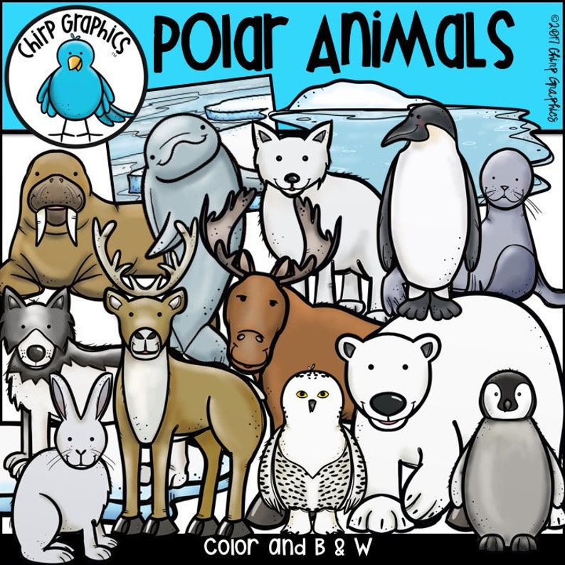 Polar Animals Clip Art Set - Chirp Graphics - Etsy