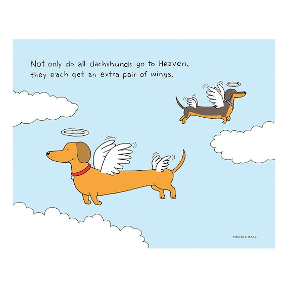 Puppy Cheer Up Pictures