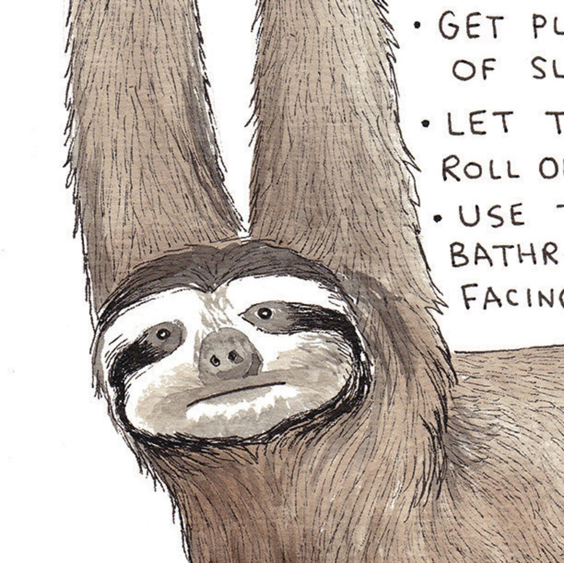 Sloth Gifts,thinking of You Gift, Weird Stuff - Etsy