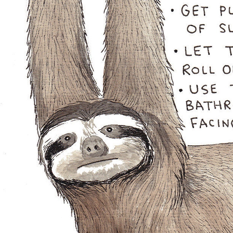 Sloth Gifts,thinking of You Gift, Weird Stuff - Etsy