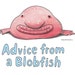 Blobfish, Weird Stuff, Cubicle Decor, Mindfulness Gift, High School ...