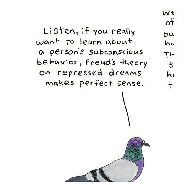 Pigeon, Psychology Gifts, Weird Stuff, Bird Painting, Medical Student ...