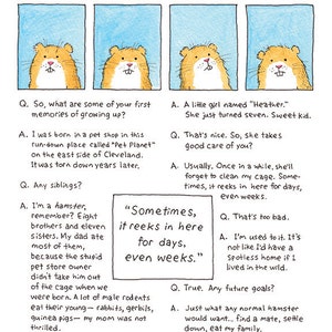 Hamster Art Print, Funny Hamster, Funny Animal Print, Pet Humor ...