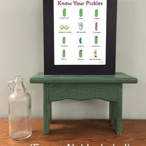 Pickle Art, Dill Pickles, College Student Gift, Weird Stuff, Nerdy ...