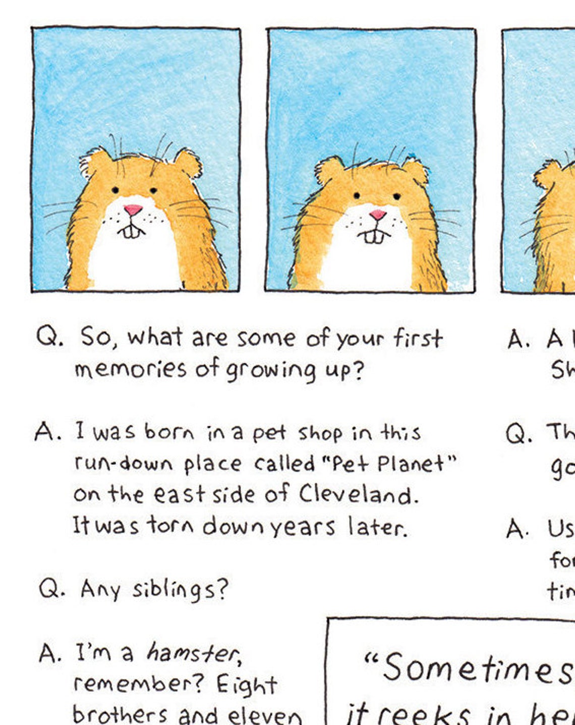 Hamster Art Print Funny Hamster Funny Animal Print Pet - Etsy