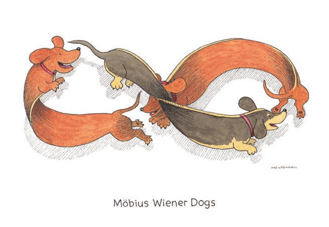 Dachshund, Science Gift, Physics, Oddities, Dog Poster, Science Poster ...