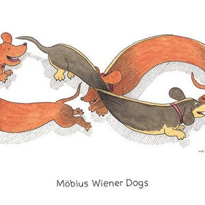 Dachshund, Science Gift, Physics, Oddities, Dog Poster, Science Poster ...