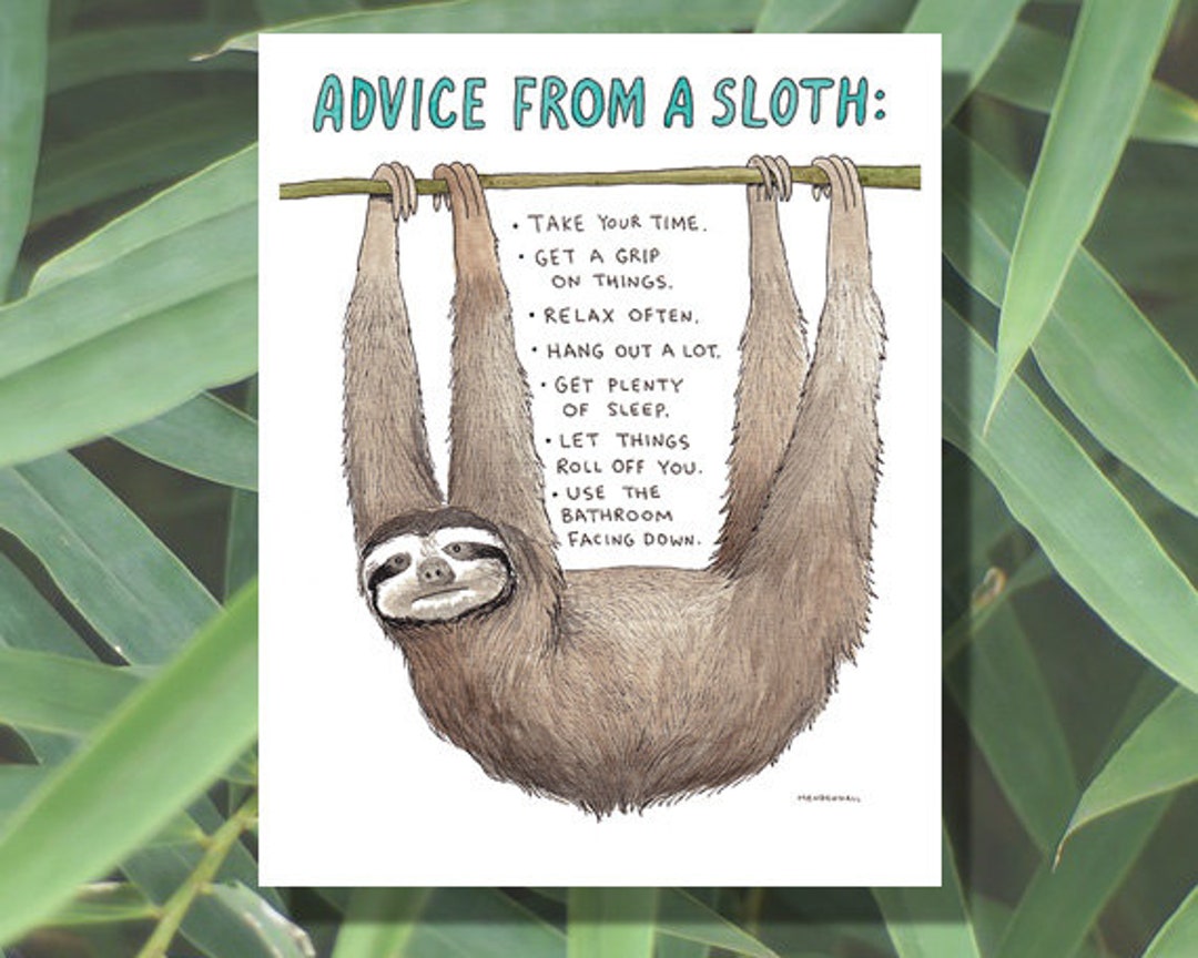 Sloth Gifts,thinking of You Gift, Weird Stuff - Etsy