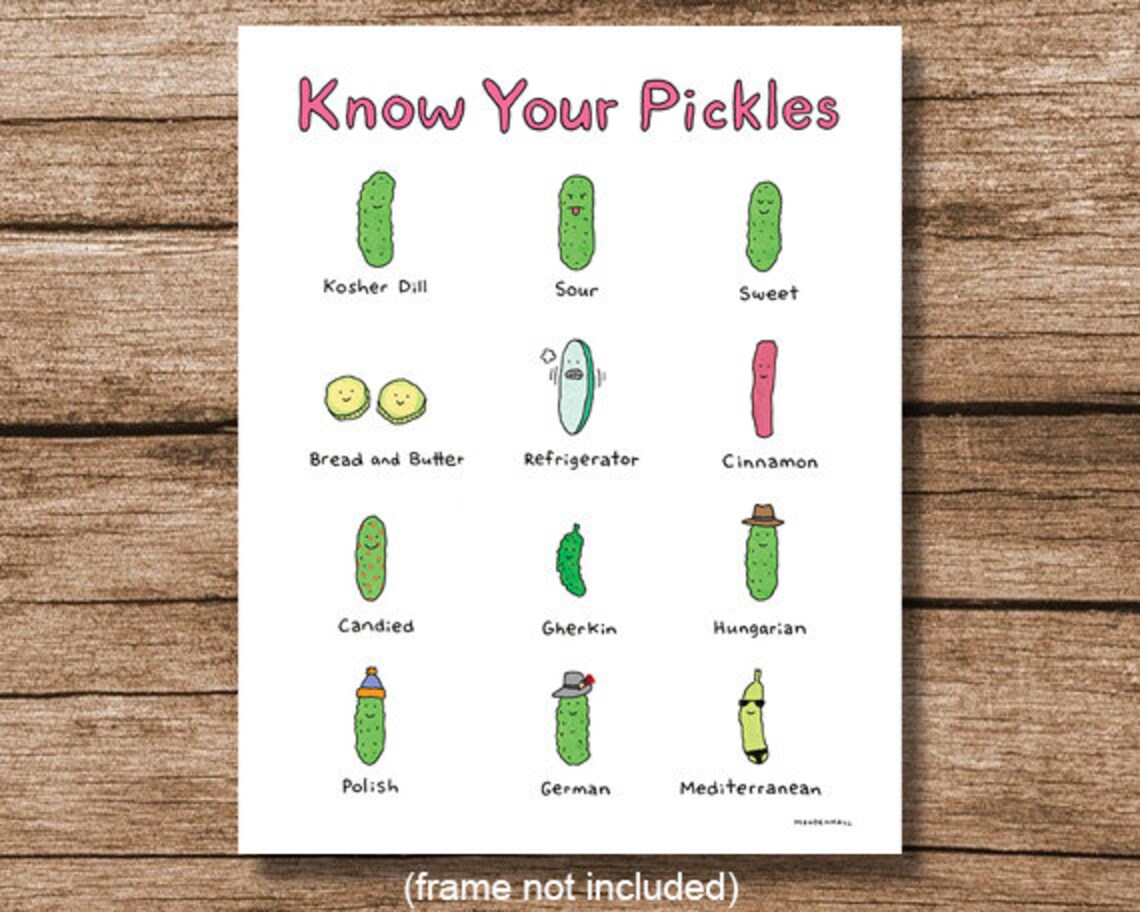 Pickle Art Dill Pickles College Student Gift Weird Stuff - Etsy