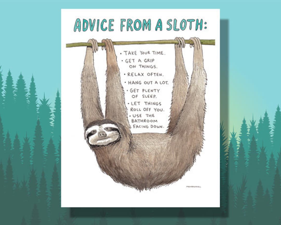 Funny Sloth Advice Print: Cubicle Decor, Bathroom Art - Etsy