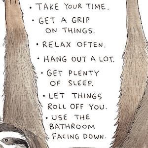 Sloth Gifts,thinking of You Gift, Weird Stuff - Etsy