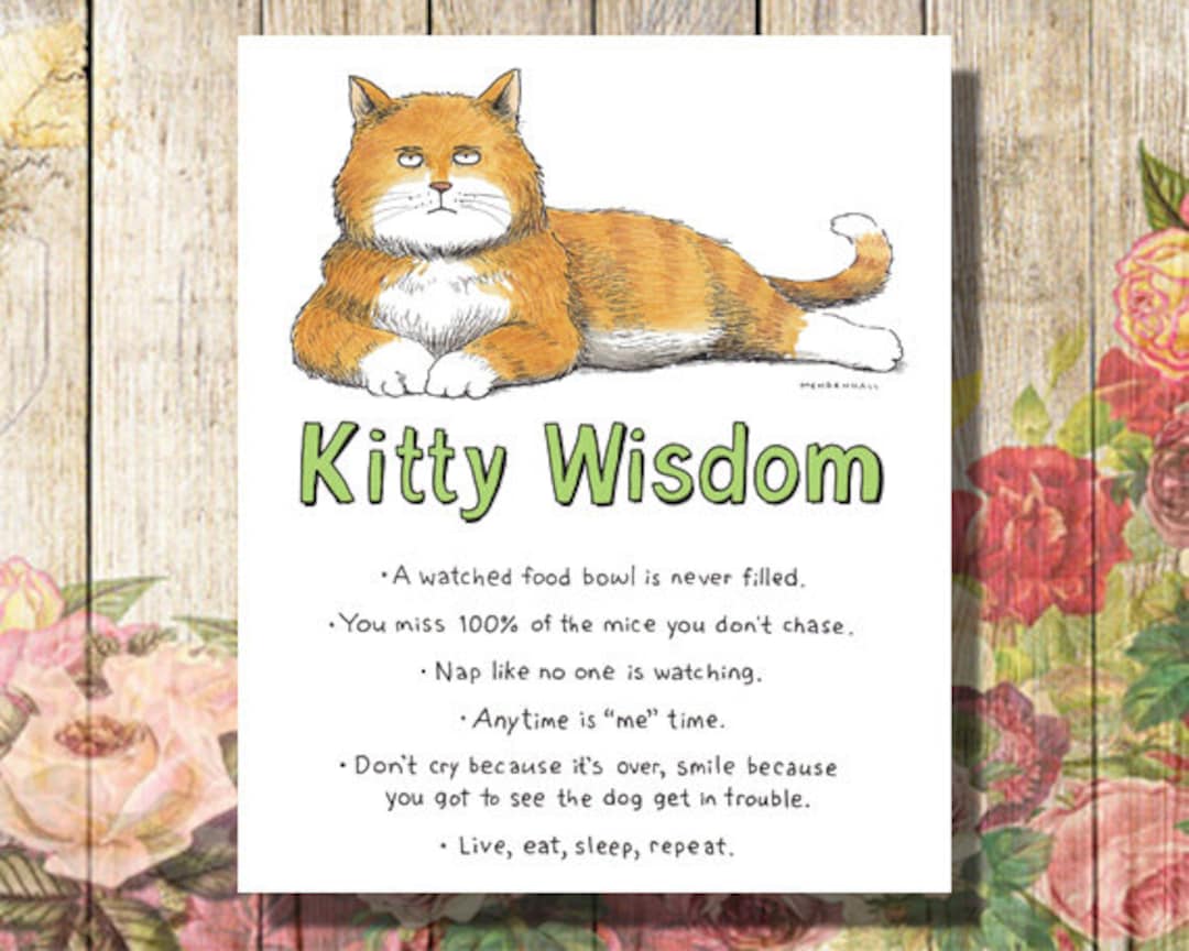 Funny Cat Art Print: "kitty Wisdom" Inspirational Gift (8x10) - Etsy