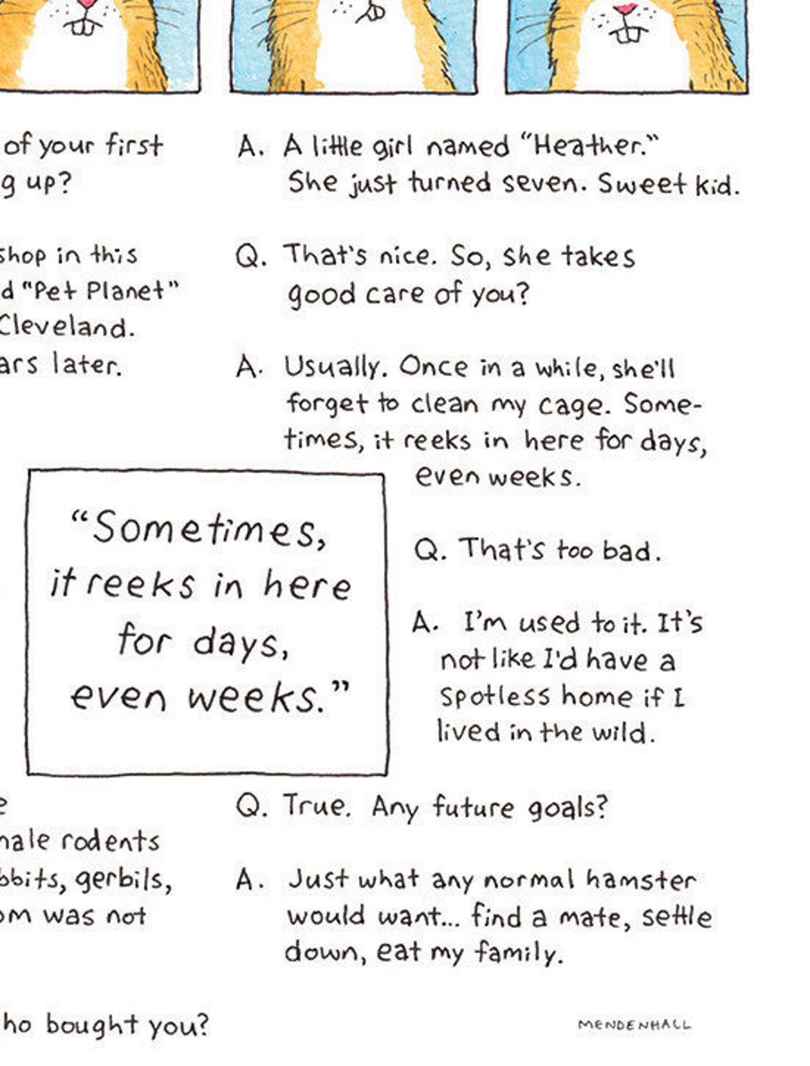 Hamster Art Print Funny Hamster Funny Animal Print Pet | Etsy