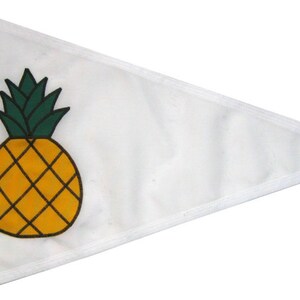 Pineapple Flag or Pennant: Welcome, Hospitality, House Warming Gift ...